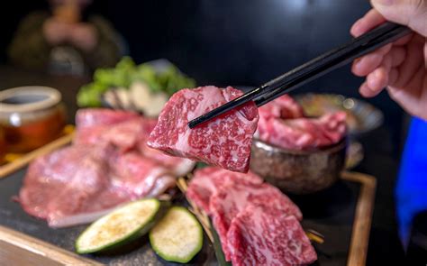 山上走走 日式無菜單燒肉專門店鹿兒島A5和牛金箔霜淇淋網美必訪新竹最美水族館燒肉店新竹無菜單料理推薦