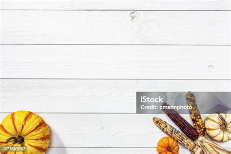 흰색 풍화 나무 테이블에 다양한 작은 박과 인도 옥수수의 머리 위 배경 공중 뷰에 대한 스톡 사진 및 기타 이미지 공중 뷰 가을 탁자 Istock