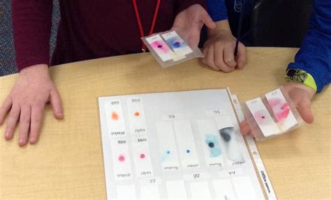 Paper Chromatography Science Club