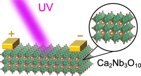 High Performance Two Dimensional Perovskite Ca2Nb3O10 UV Photodetectors
