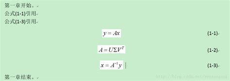 Word利用mathtype进行公式分章节编号和引用mathtype分章符号 Csdn博客