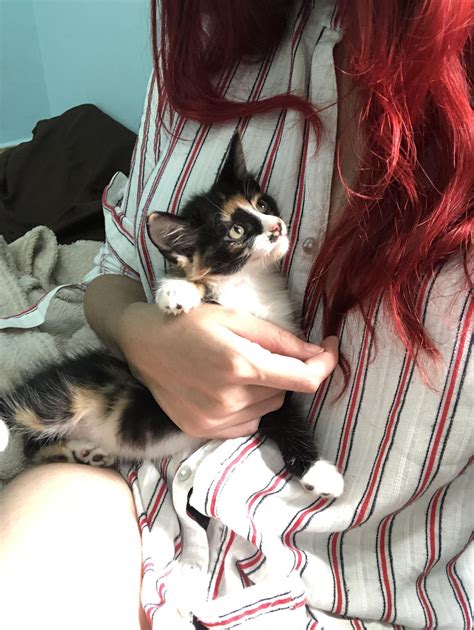Me Ajudem A Escolher Um Nome Pra Minha Gatinha R Gatos