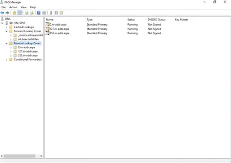 Configuring DNS And DHCP In Windows Server Nicholas Pineiro