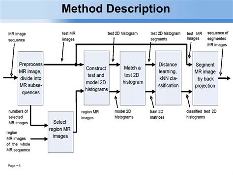 Tissue Segmentation Methods Using 2d Histogram Matching In A Sequence