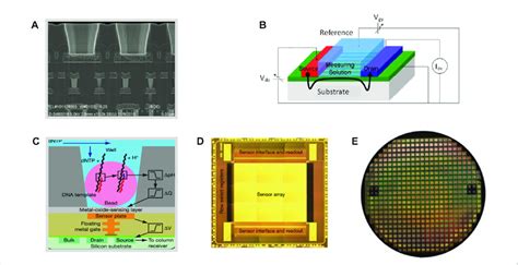 Behind Cmos Based Technology A Electron Micrograph Showing The Download Scientific Diagram