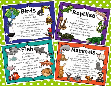 Classification And Characteristics Of Different Types Of