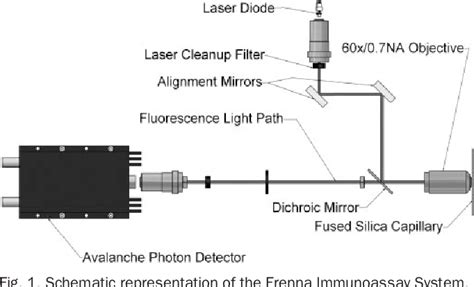 Figure 1 From Ultrasensitive Flow Based Immunoassays By Use Of Single