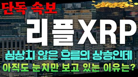 리플 심상치 않은 흐름의 상승인데 아직도 눈치만 보고있는 이유는 리플호재 리플전망 리플 리플차트분석 리플악재 리플