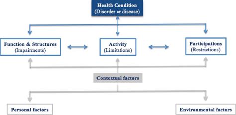 Icf Framework Adapted From World Health Organization 2002 12
