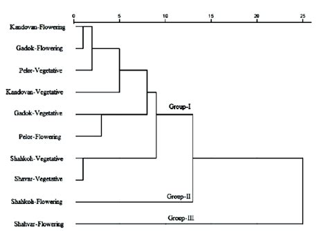 Dendrogram Obtained By Hierarchical Cluster Analysis Hca Based On