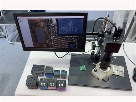 Understanding Microscope Magnification How To Calculate Total