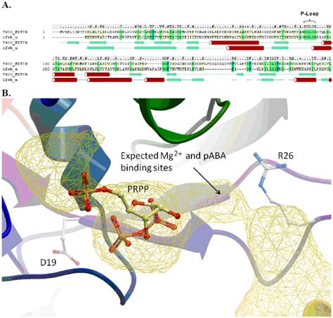 Purification Kinetic Characterization And Site Directed Mutagenesis Of Methanothermobacter