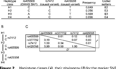 Figure 1 From Detection Of Common Single Nucleotide Polymorphisms Synthesizing Quantitative
