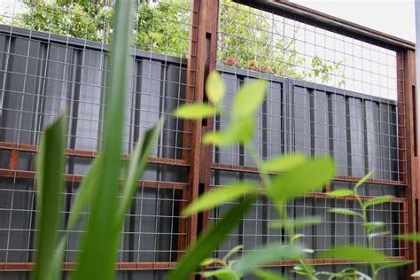 How To Build A Trellis Fence DIY For Knuckleheads