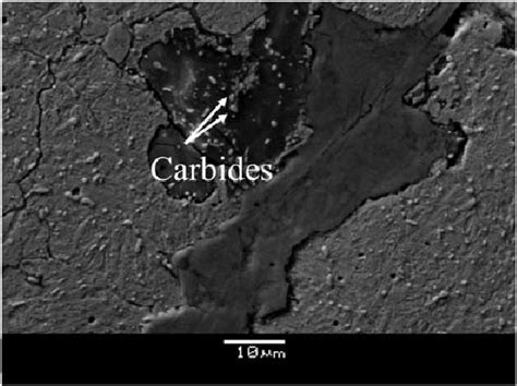 Sem Micrograph Of The Chromium Carbides Download Scientific Diagram