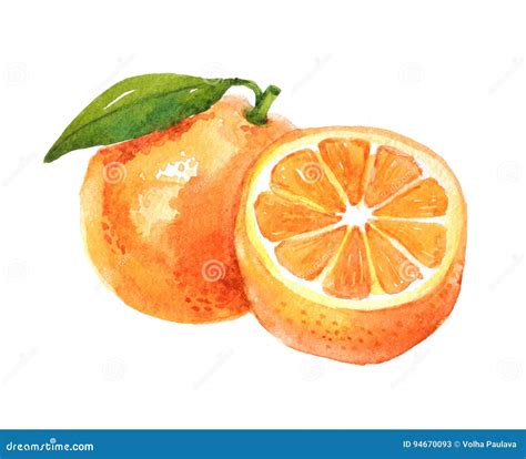Orange Fruit With Leaf Watercolor Illustration Stock Illustration