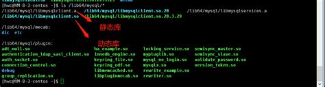 【mysql】c语言连接mysql图形化工具怎么用c语言连接navicat Csdn博客