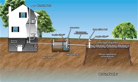 septic tank system diagram