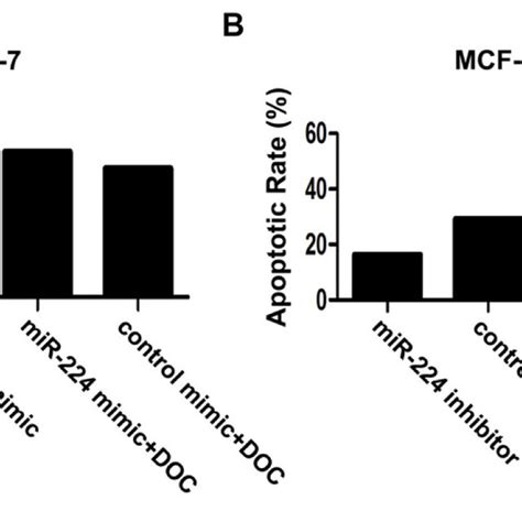 The Apoptotic Rate Of Breast Cancer Cells Induced By Doc In Mcf 7 And