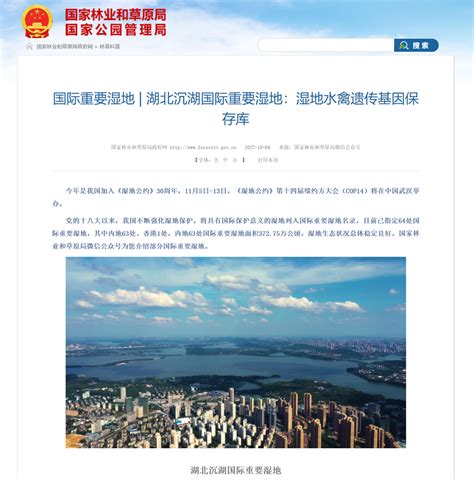 国家林业和草原局推介沉湖国际重要湿地 生态蔡甸 新闻中心 长江网 cjn cn