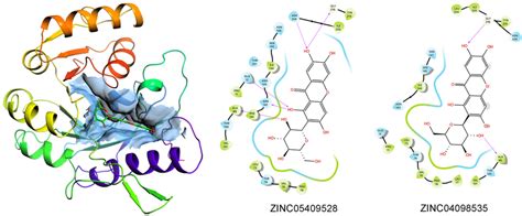 3d Representation Of Predictive Complex Between Fno And Manerin Download Scientific Diagram