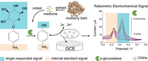 A Ratiometric Electrochemical Sensor With Integrated Probe For The Assay Of α Glucosidase