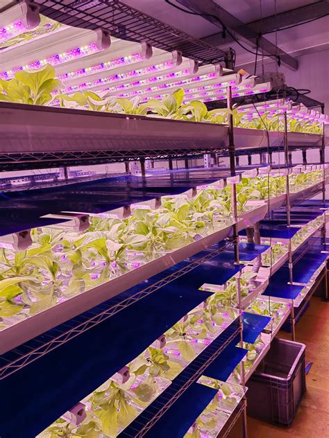 南乔科技 福建 有限公司 关于我们