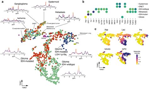 A 2d Representation Of A Umap Dimensional Reduction Of Pathological Download Scientific