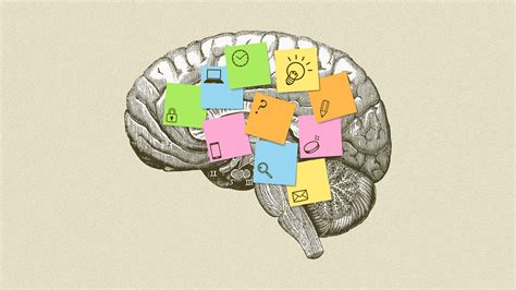 Brain Based Learning Edutopia