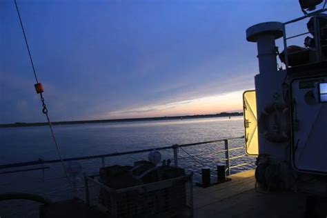 Sibes Project Jessica Bernal