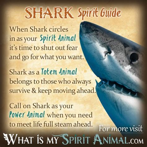 Shark Symbolism Meaning Artofit