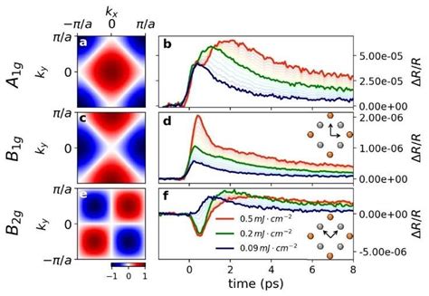 Polarization Selection Left Column Sensitivity To The Excitations In