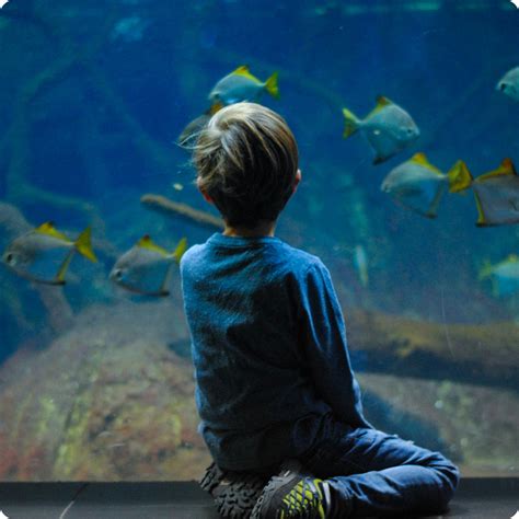 Annual Report 2023 24 Oxford University Press