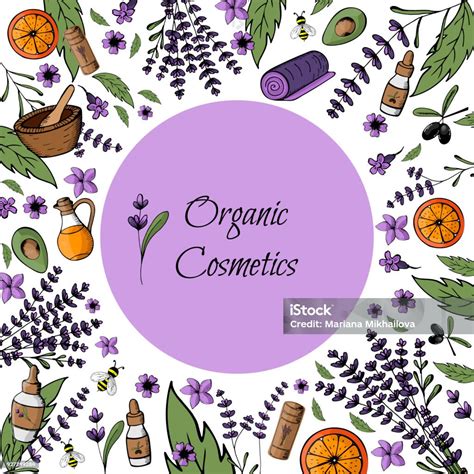 프레임 엽서 자연 이랑 유기 바이오 화장품 손으로 그린 개체와 꽃 스파 약초 건강입니다 벡터 일러스트 레이 션 감귤류 과일에 대한 스톡 벡터 아트 및 기타 이미지 Istock