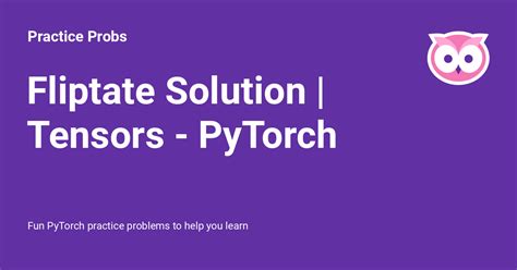 Fliptate Solution Tensors Pytorch Practice Probs
