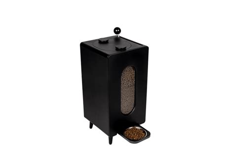 Understanding Australian Shepherd Personality Traits A Comprehensive