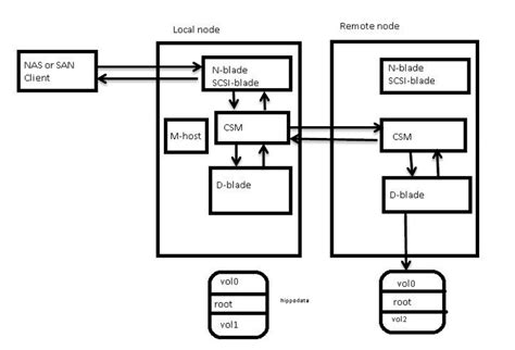 Hippodata Dataflow In Netapp Cluster Mode