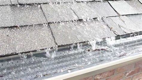 Gutter Rx Gutter Guards At Lucy Gardiner Blog