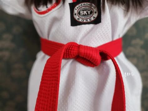 태권도 띠 묶는법 색깔 순서 도복 입으며 체크 네이버 블로그