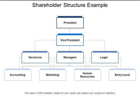 Shareholder Structure Example Powerpoint Slide Presentation Sample