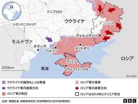ウクライナの独立記念日、前線で戦い続く 南部の戦場からbbc記者 Bbcニュース