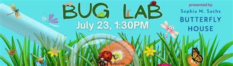 Bug Lab Webster Groves Public Library