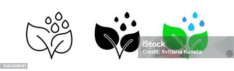 식물 라인 아이콘입니다 토양 지구 비 생태 생태 식물 식물학 생태계 식물 잎 약물 생물학 자연 개념입니다 선에 있는 벡터 아이콘