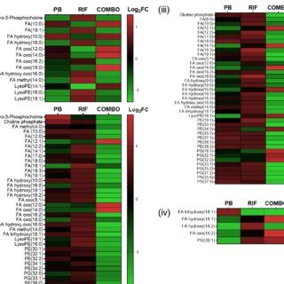Perturbations Of Membrane Related Lipids Heatmap Profiles Of The
