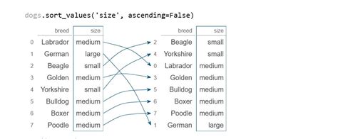 sechaba mokobane on linkedin pandas data