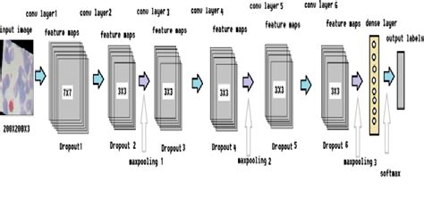 Figure 2 From Classification Of Leukemia Using Convolution Neural
