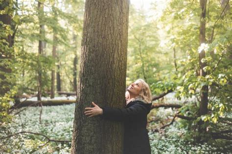 Tree Hugging Stock Photos Images And Backgrounds For Free Download