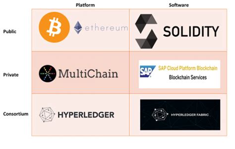 Types Of Blockchains Go Coding