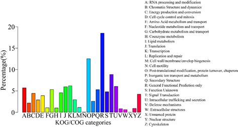 Go Classification Map The Abscissa Represents The Next Level Go Term