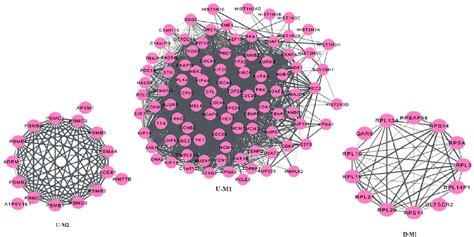 Modules Identified From The Protein Protein Interaction Networks U M1